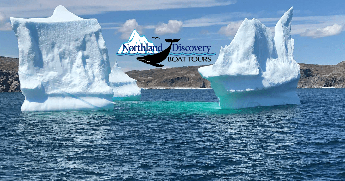 Local Attractions - Northland Discovery Boat Tours